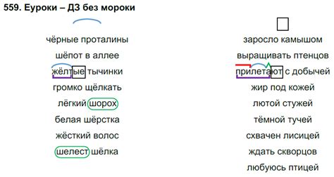 ГДЗ Номер 559 Русский 5 класс Ладыженская ФГОС | Учебник Часть 1, 2