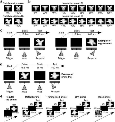 transformation tolerant object recognition in rats revealed by visual priming journal of