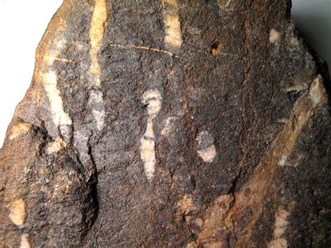 Worm 11 Cochise College Geology