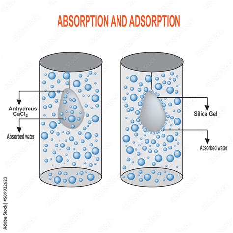 Difference Between Adsorption And Absorption On Molecular Surface Surface Phenomena Chemical