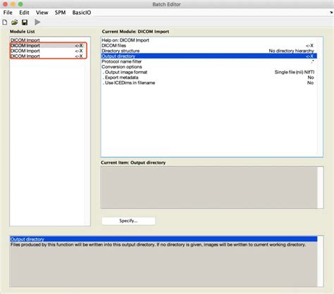 9 图利用matlab的spm12工具处理fmri为roi Haorans Blog