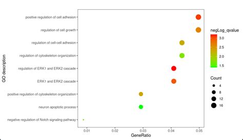 利用ggplot2绘制功能富集气泡图ggplot2气泡图 Csdn博客