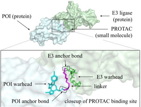 논문 리뷰 PROflow An iterative refinement model for PROTAC induced structure prediction