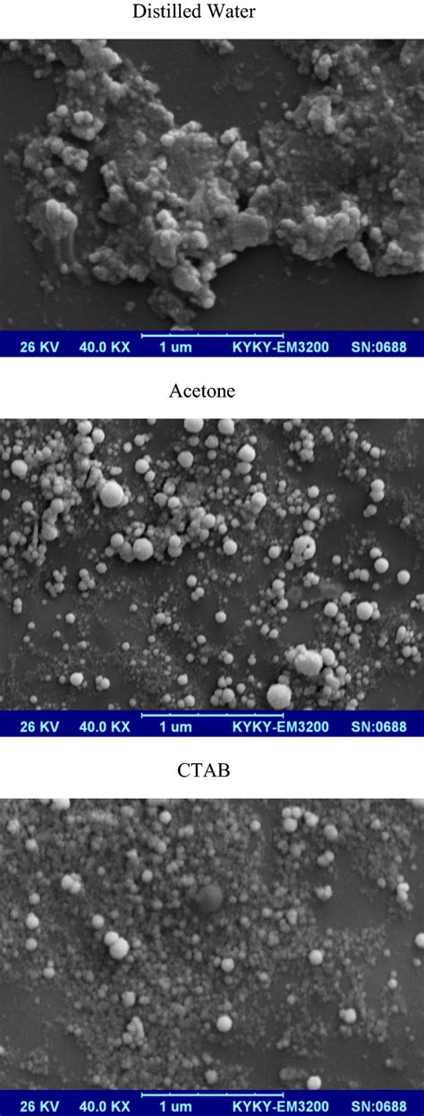 SEM Micrographs Of TiO2 Nanoparticles Download Scientific Diagram