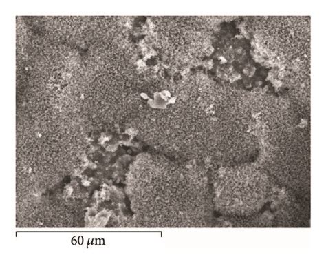 Particle Tree Connection Stage Download Scientific Diagram