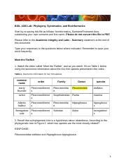 Lab Bioinformatics Docx BIOL Lab Phylogeny Systematics And Bioinformatics Start By Re