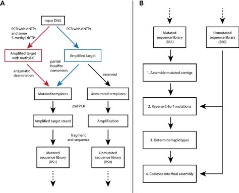Figure 1 From Targeted De Novo Phasing And Long Range Assembly By Template Mutagenesis