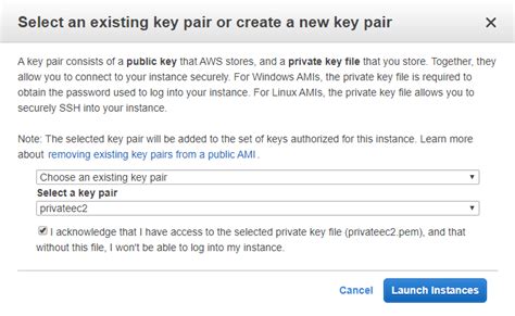 Amazon VPC Introduction To Amazon Virtual Private Cloud Archives