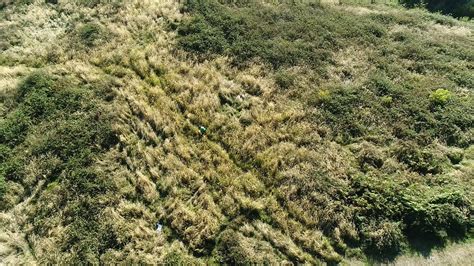 Sard Object Detection Model By Phenikaax