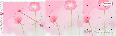 Coreldraw：cdr 如何绘制基础图形（下） 知乎