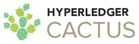 Blockchain Interoperability 2025 Coincodecap