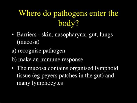 Ppt Immunity Powerpoint Presentation Free Download Id692230