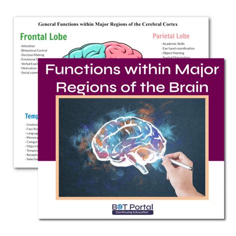 Flexor Synergy Vs Extensor Synergy Patterns
