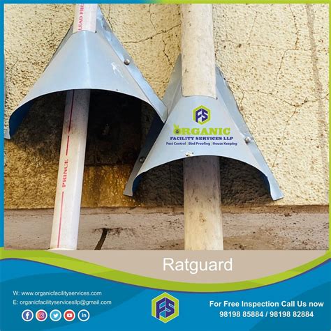 Rat Guard At Best Price In India