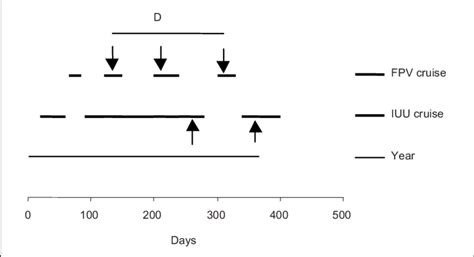 Schematic Representation Of The Stochastic Model Download Scientific