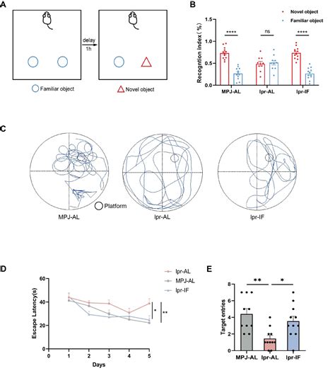 Intermittent Fasting Attenuates Cognitive Dysfunction In Murine Systemic Lupus Erythematosus