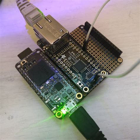 Python Is For The Birds Deep Dive Raspberry Pi Store And More Python Adafruit