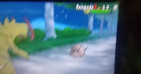 Genvi Phase 2 Full Odds Shiny Venipede Took Like 5 Days Of Soft