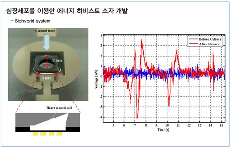 대학원과정 기초전공분야 소개 제어 진동 로보틱스분야