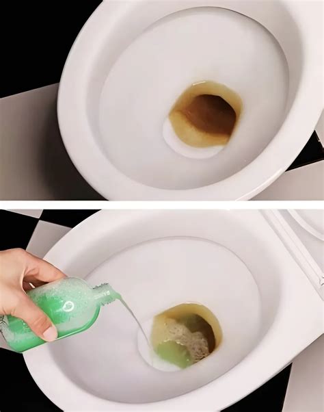 Very Interesting ალიან საინტერესოა 🚽 🚽 მიიღეთ ბზინვარე თეთრი