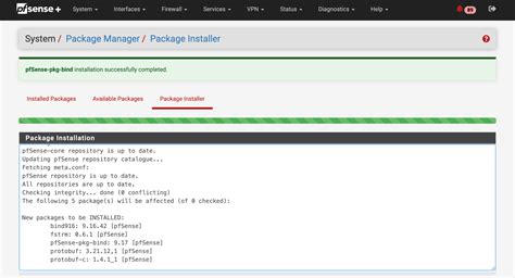 How To Configure Bind Dns Server On Pfsense Opnsense Cloudspinx