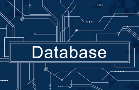 Comparing Data Types In Oracle And PostgreSQL A Migration Guide