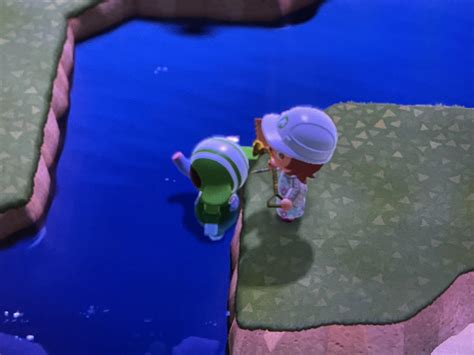 Is This A Glitch Ranimalcrossing