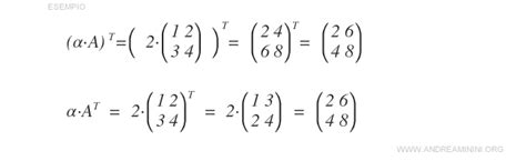 Transpose Of Matrices Andrea Minini