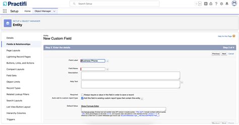 Managing Custom Fields And Picklists Practifi Success