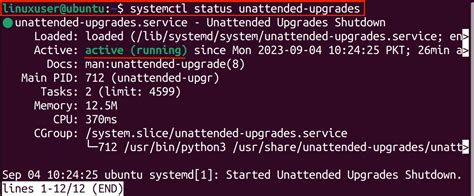 How To Configure Automatic Security Updates On Ubuntu 2204 Linuxways