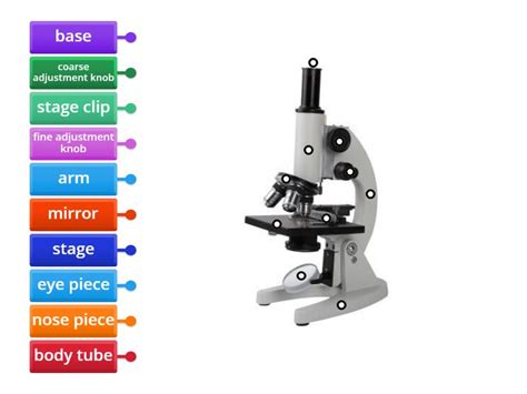 Assessment Activity Parts Of The Microscope Labelled Diagram