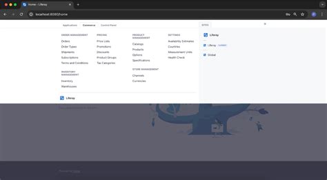 Liferay Tutorial 2024 Installation Initial Setup Key Functionalities