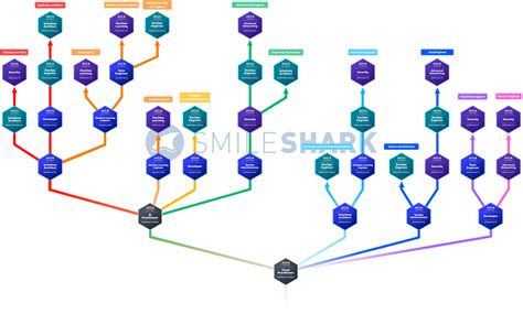 Aws Certification Types And Levels 2025 Updates You Must Know