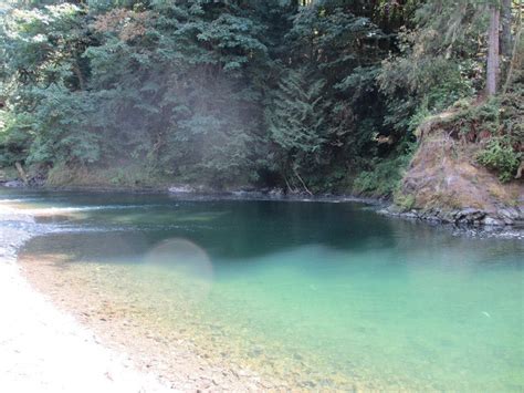Lake Mayfield Resort 3 Photos Mossyrock Wa Roverpass
