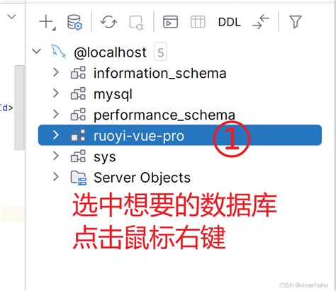 Idea右侧database使用教程idea Database 使用 Csdn博客 Idea右侧database使用教程idea Database 使用 Csdn博客