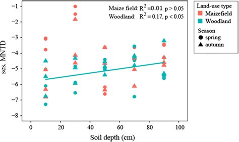 variation of standardized effect size measure of mean nearest taxon
