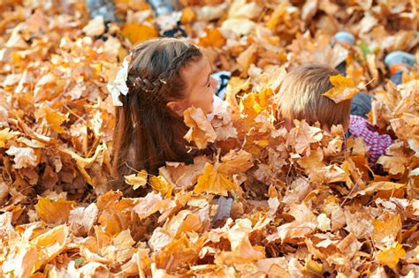 행복한 아이들이 놀고 포즈를 취하고 웃고 가을 도시 공원에서 즐거운 시간을 보세요 밝은 노란 나무와 잎 가을에 대한 스톡 사진 및 기타 이미지 Istock