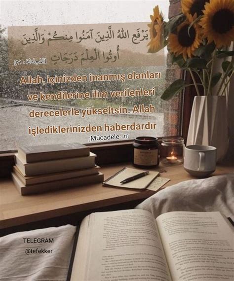 يَرْفَعِ اللَّهُ الَّذِينَ آمَنُوا مِنكُمْ وَالَّذِينَ أُوتُوا الْعِلْمَ دَرَجَاتٍ