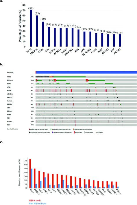 Analysis Of Co Existing Gene Mutations A Most Common Non Synonymous