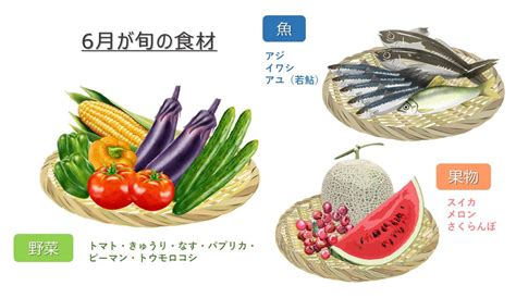 旬の食材を食べよう6月に食べたい旬の魚や野菜HOME ALSOK研究所ホームセキュリティのALSOK
