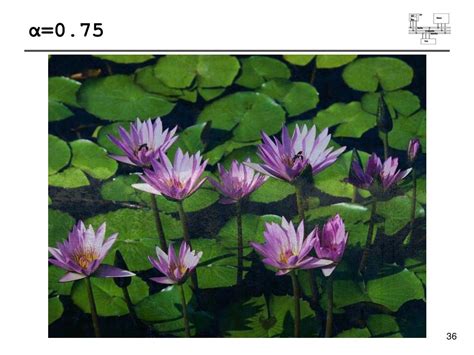 PPT Intel SIMD Architecture PowerPoint Presentation Free Download ID