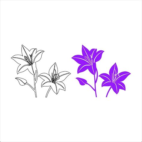 Premium Vector Lily Flower Vector Design