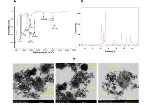 Physicochemical And Morphological Characterization Of The Zno Nps Download Scientific Diagram