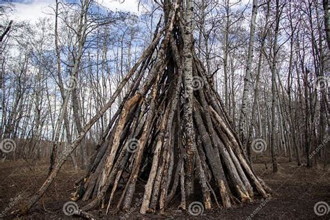 Rustic Tree Branch Structure In Forest Setting Stock Image Image Of