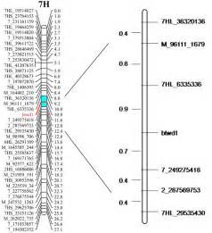 Linkage Map With The Dwarfing Gene Btwd1 Based On Snp Markers On Barley Download Scientific