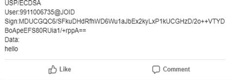 USP Example With ECDSA Signature And Facebook OS Download Scientific Diagram