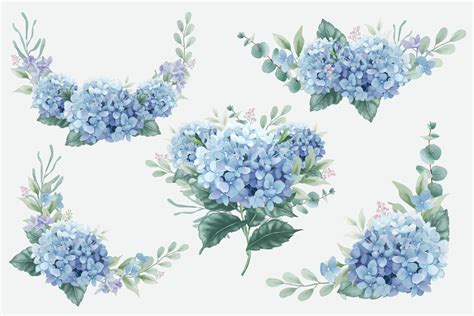 蓝色绣球花花束插图 绣球花花花朵花卉植物花束 水彩插图 北极熊素材库