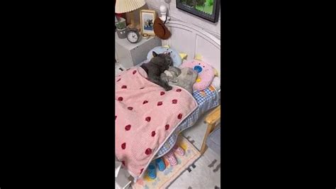 ⊰ Готовимся ко сну ⊱•╮ С добрым утром уютного вечера и спокойной ночи ВКонтакте