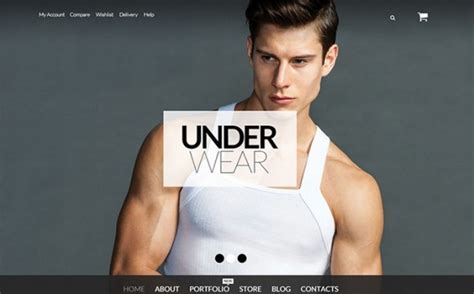 40 Best WordPress ECommerce Themes 2015 WP Daily Themes