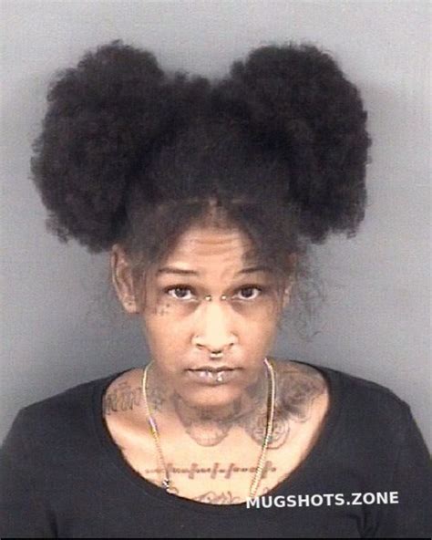 Drayton Nelana Lyneisha 11152022 Cumberland County Mugshots Zone